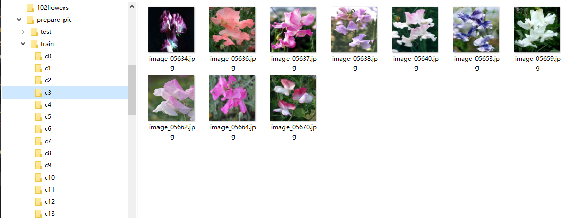 GitHub - gaoli1537/flower102: flower102数据集分类_tensorflow_slim_InceptionV3